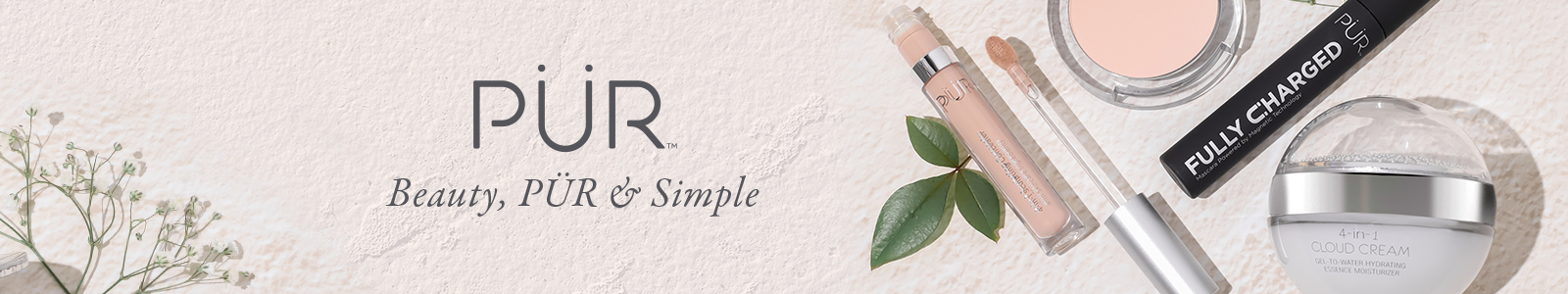 Amazon.com: PUR: Face