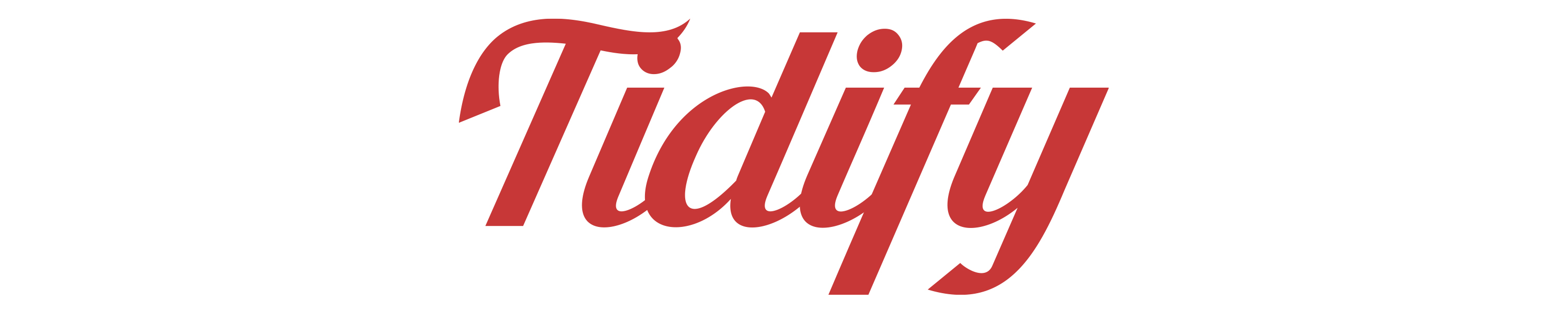 Amazon.com: Tidify: Car Organizer