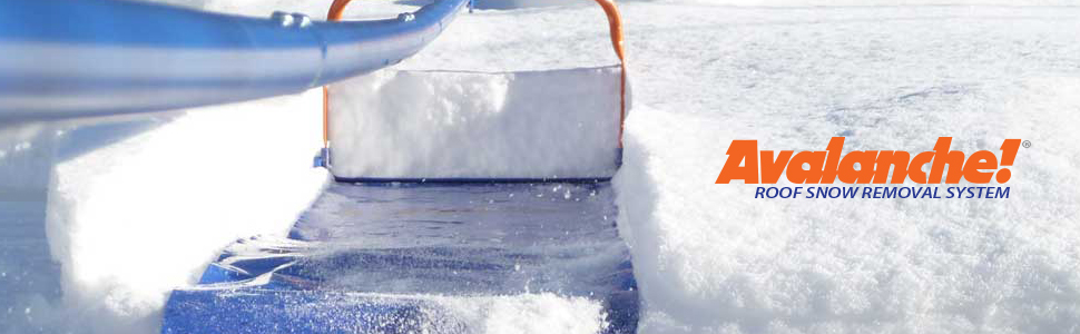 Amazon.com: Avalanche!: Big Rig Rake 2000