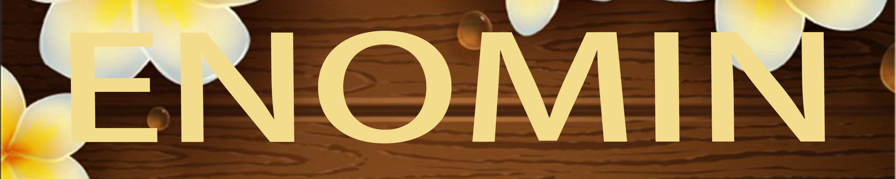 Amazon.com: ENOMIN
