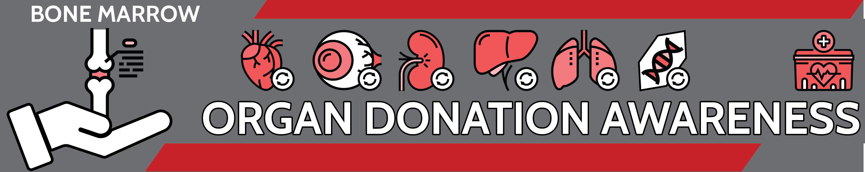Amazon.com: Organ Donation Awareness: Bone Marrow