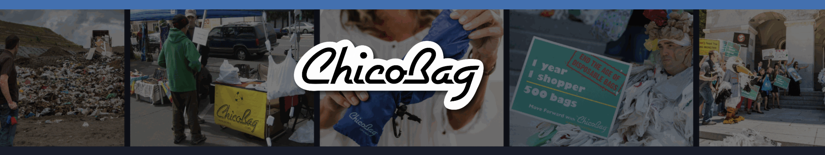 Amazon.com: ChicoBag