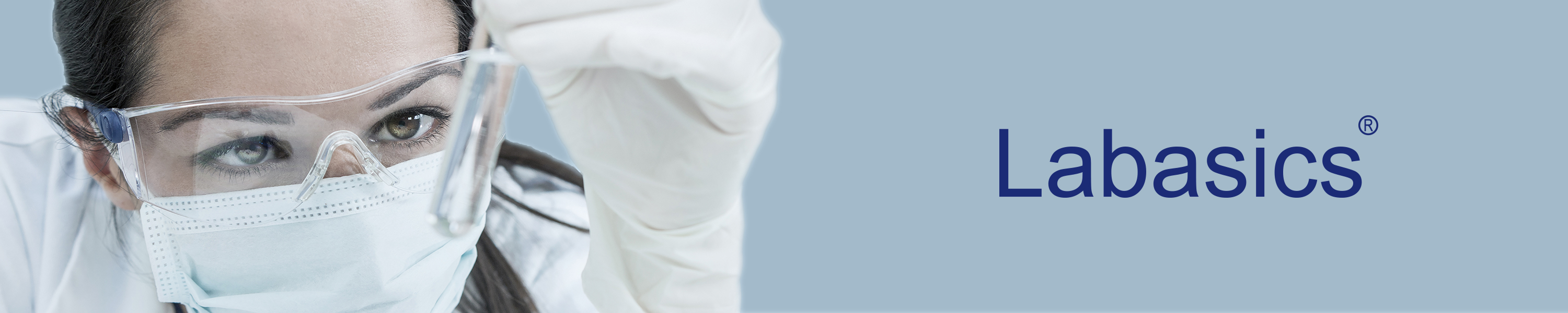 Amazon.ca: Labasics: Labware