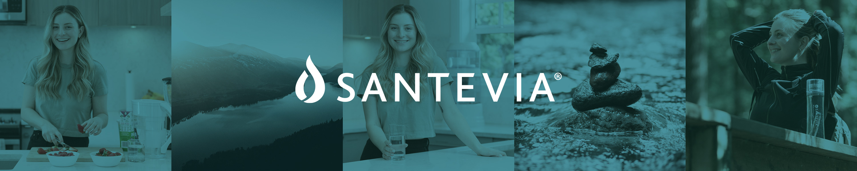 Amazon.ca: Santevia: Bath Filter