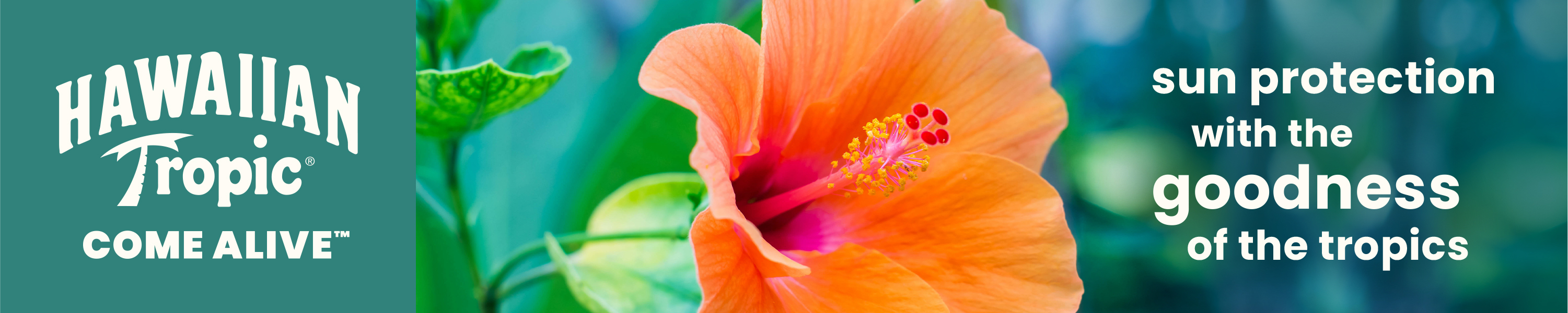 Amazon.ca: Hawaiian Tropic: Self-Tanner