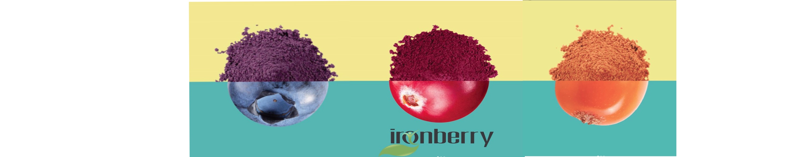 Amazon.ca: Iron Berry