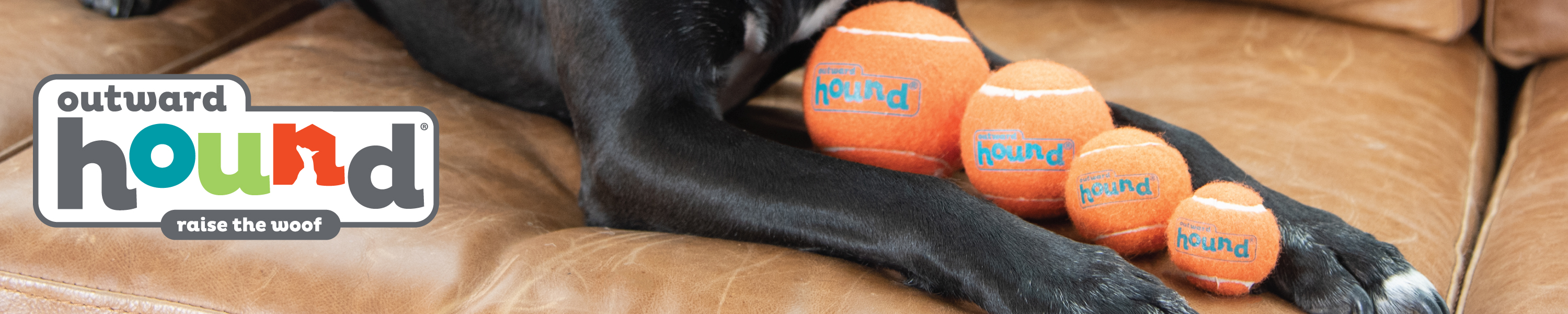 Amazon.ca: Outward Hound : Balls