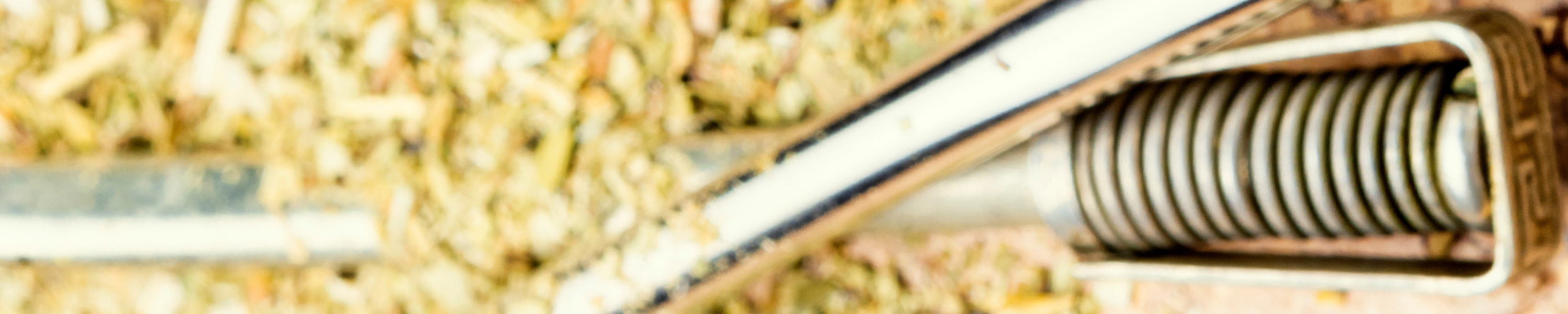 Amazon.com: MyGauchoMarket: Mate Accessories