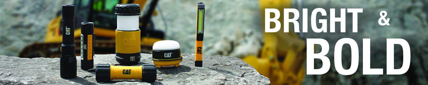 Amazon.com: Cat: Cat Lights