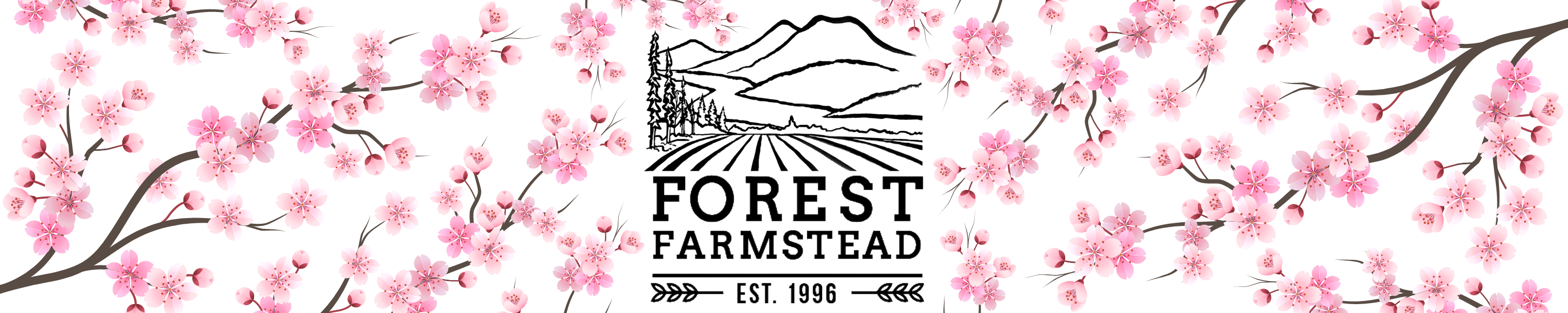 Amazon.com: Forest Farmstead: Our Story