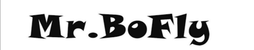 Amazon.com: Mr.BoFly: HYGROMETER