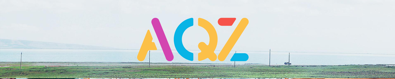 Amazon.com: AQZ