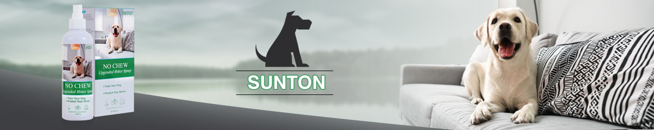 Amazon.com: SUNTON