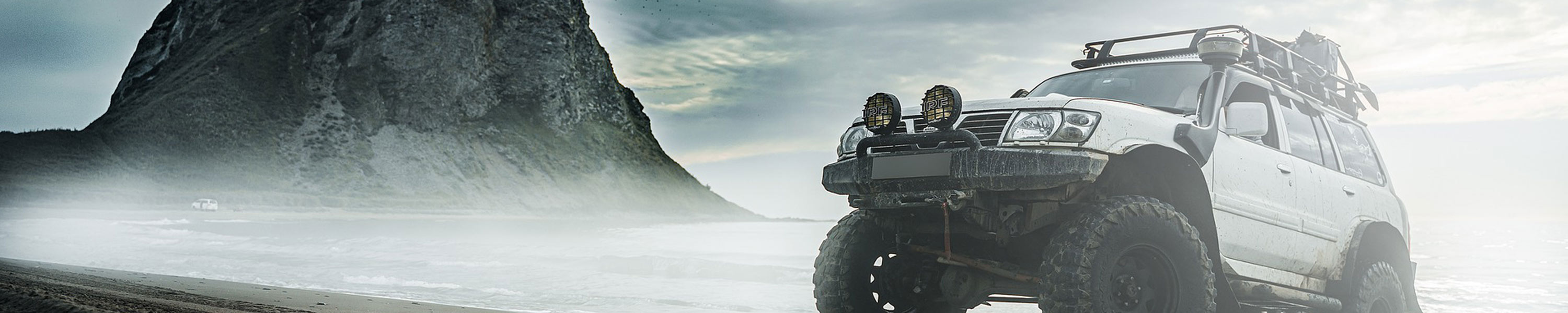 Amazon.com: ANTS PART: Cargo Basket