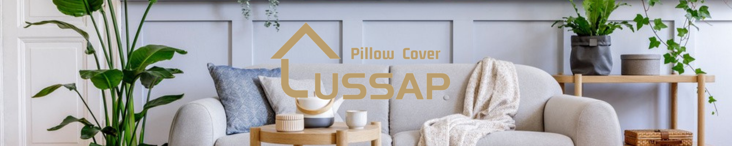 Amazon.com: Ussap