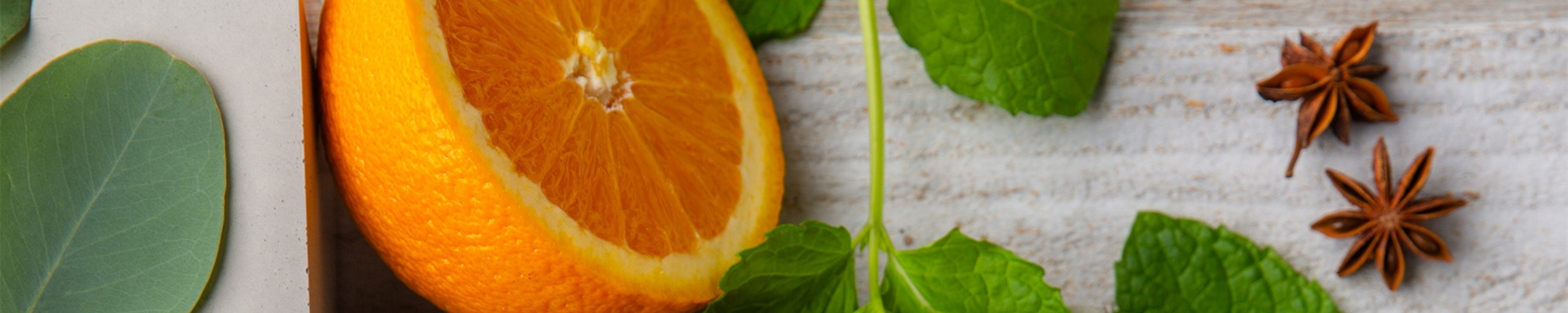 Amazon.com: SEED & SPROUT: Single Oils