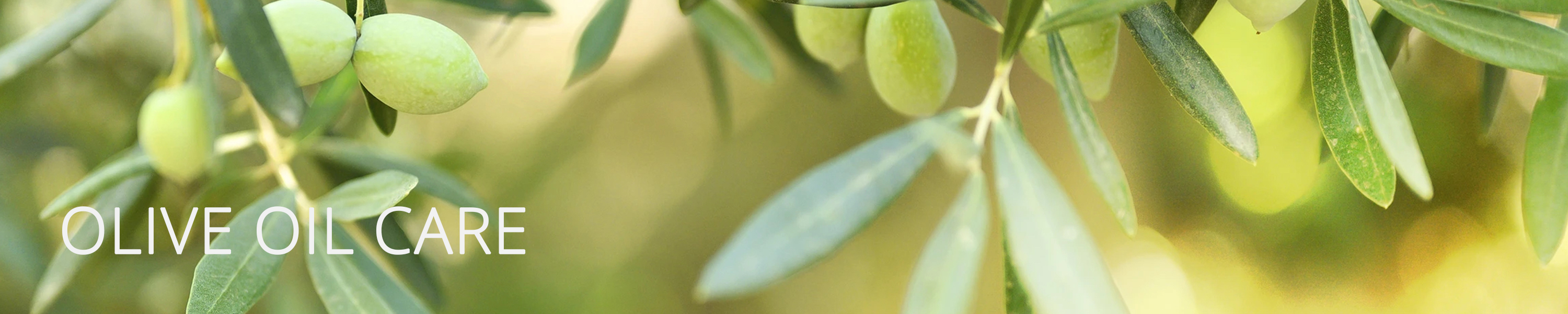 Amazon.com: Medipharma Cosmetics: Olive Oil Care