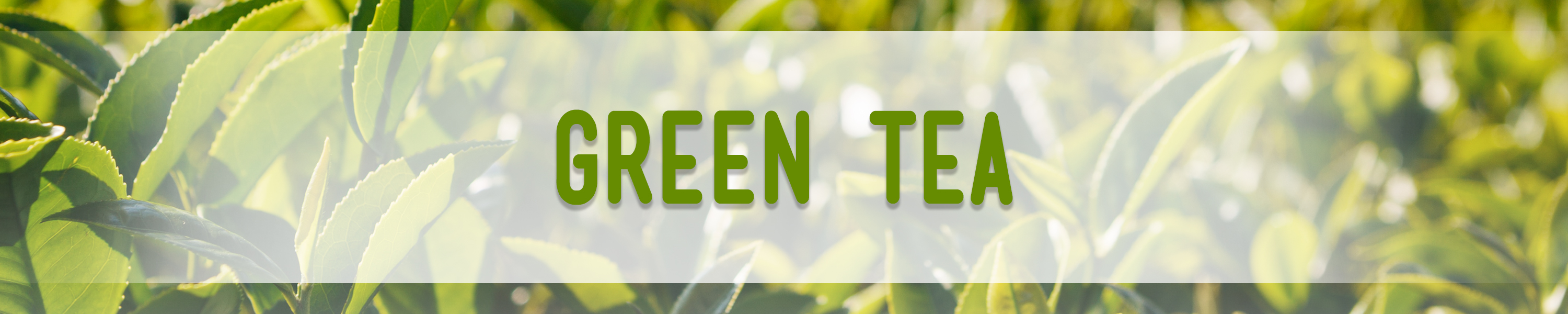 Amazon.com: SPA REDI: Green Tea