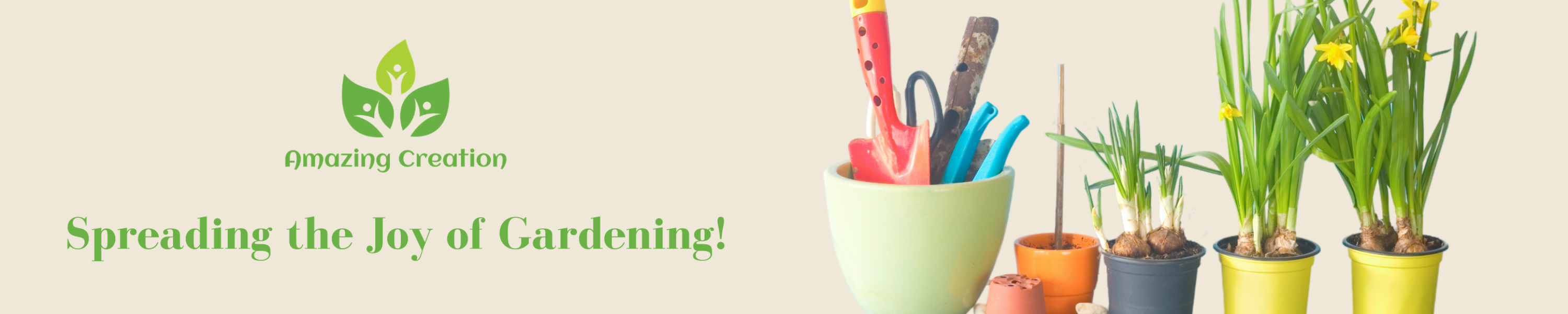 Amazon.com: Amazing Creation