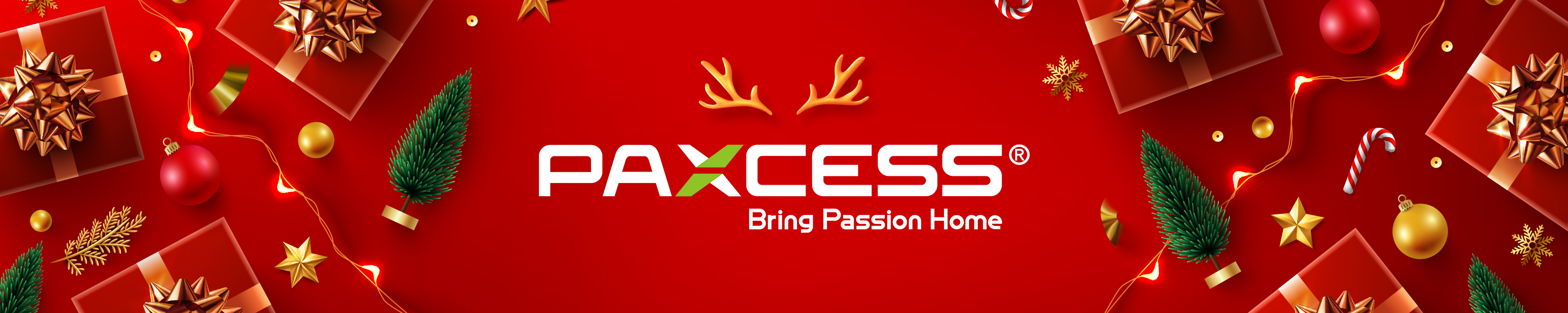 Amazon.com: PAXCESS