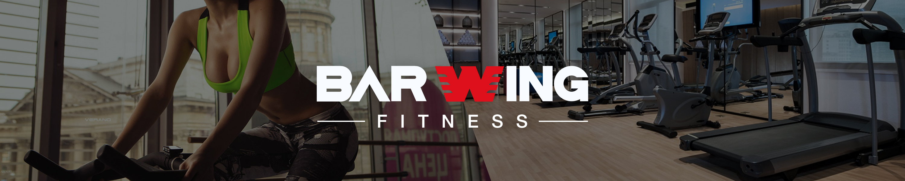 Amazon.com: BARWING: Stationary Bike