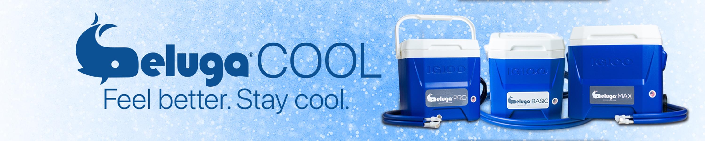 Amazon.com: Beluga: Beluga BASIC