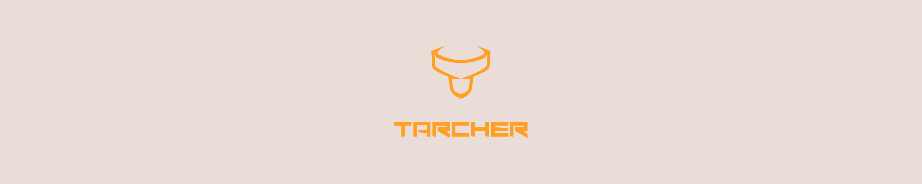 Amazon.com: TARCHER