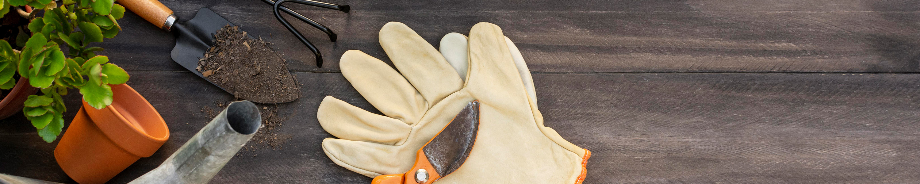 Amazon.com: Highland Garden Supply: Rapid Root Growth