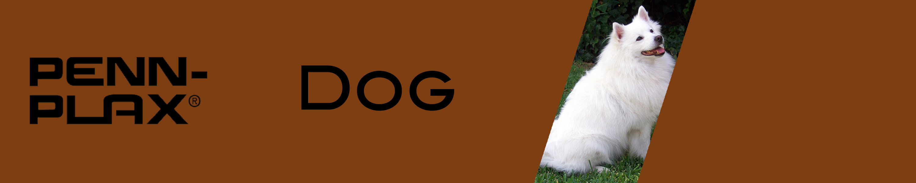 Amazon.com: Penn-Plax: Dog