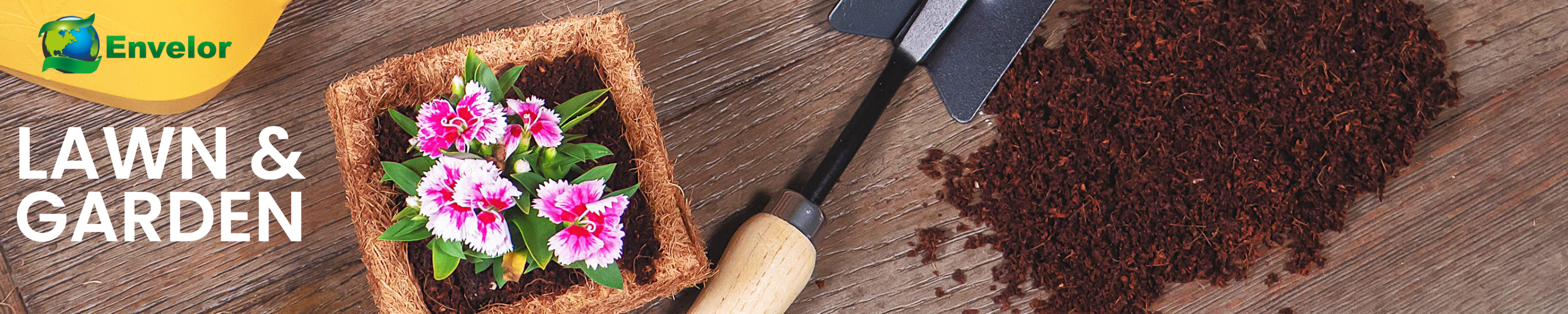 Amazon.com: Envelor: Coco Tree Rings