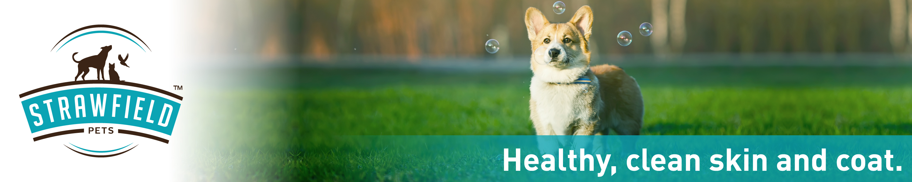 Amazon.com: Strawfield Pets: Skin + Coat Supplements