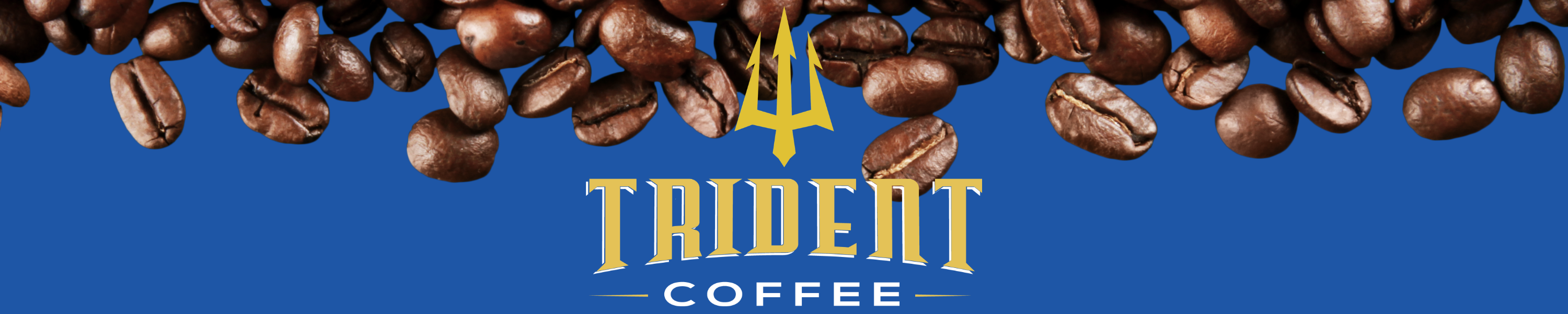 Amazon.com: TRIDENT COFFEE ESTD MMXV: El Capitan