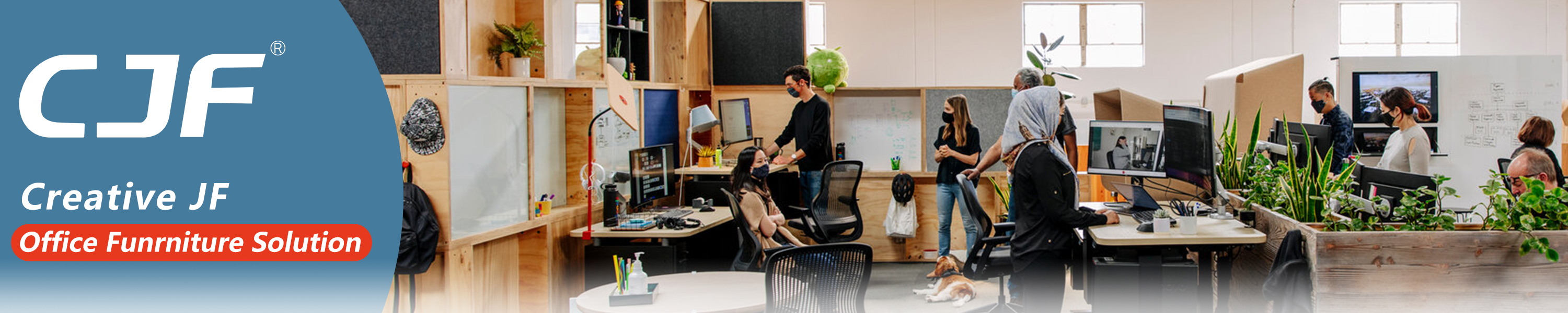 Amazon.com: CJF: ABOUT US