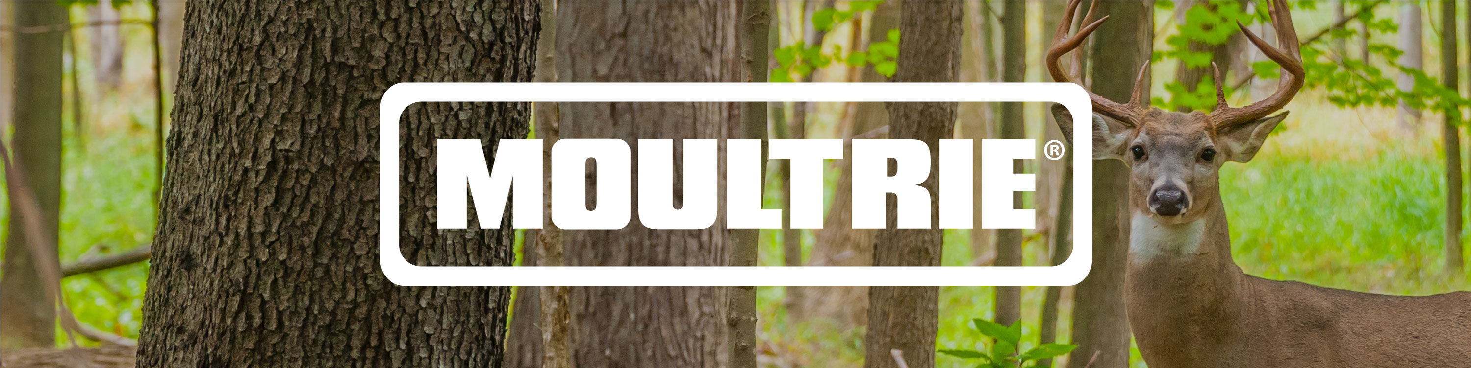 Amazon.com: Moultrie