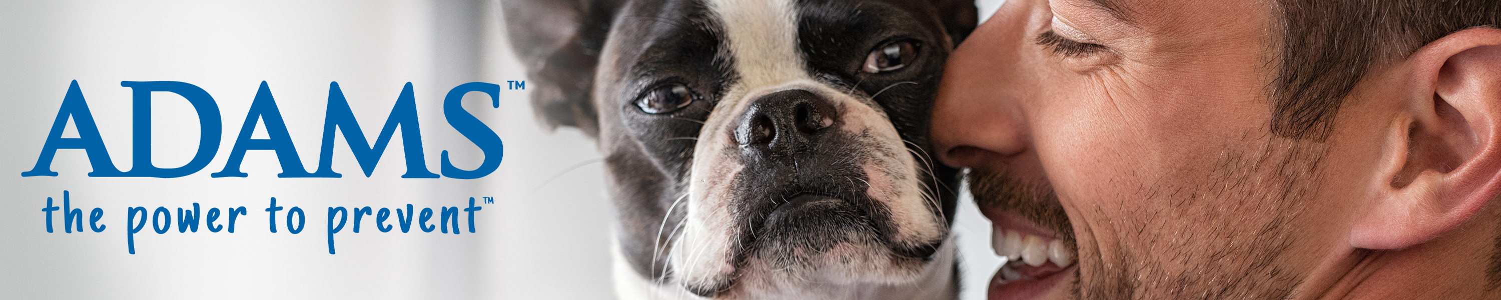 Amazon.com: Adams: Pet Collars