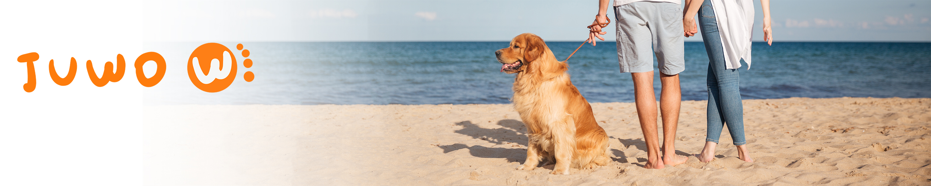 Amazon.com: JuWow: LEASHES