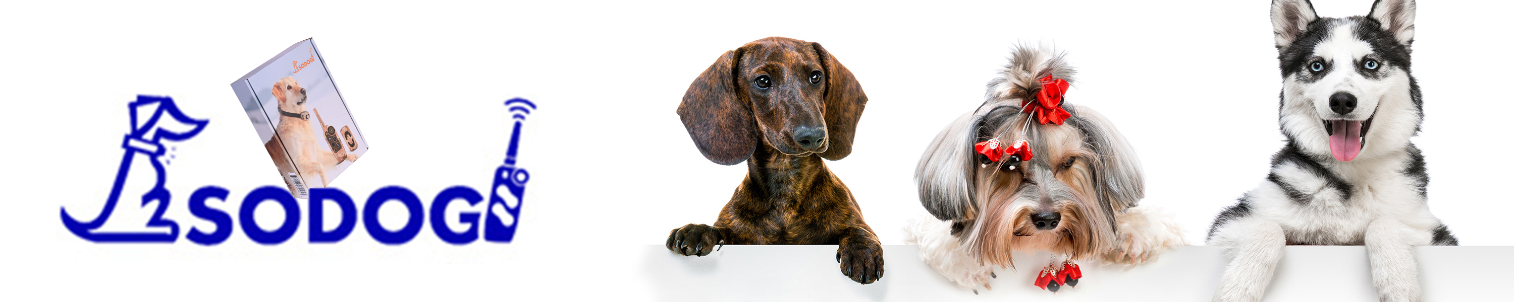 Amazon.com: SODOG Pet Training Tools