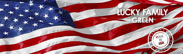 Amazon.com: Brend New Lucky Family Green: American flag