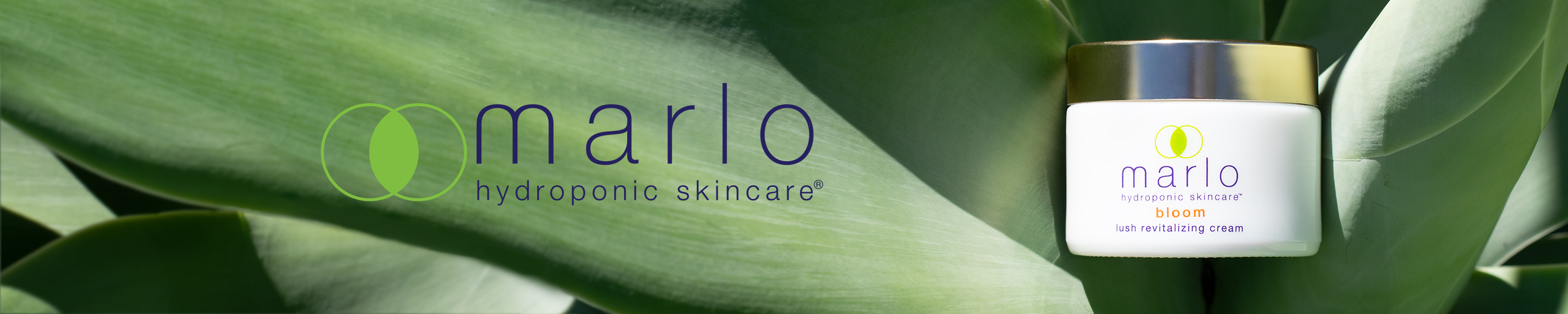 Amazon.com: MARLO HYDROPONIC SKINCARE: MEET MARLO