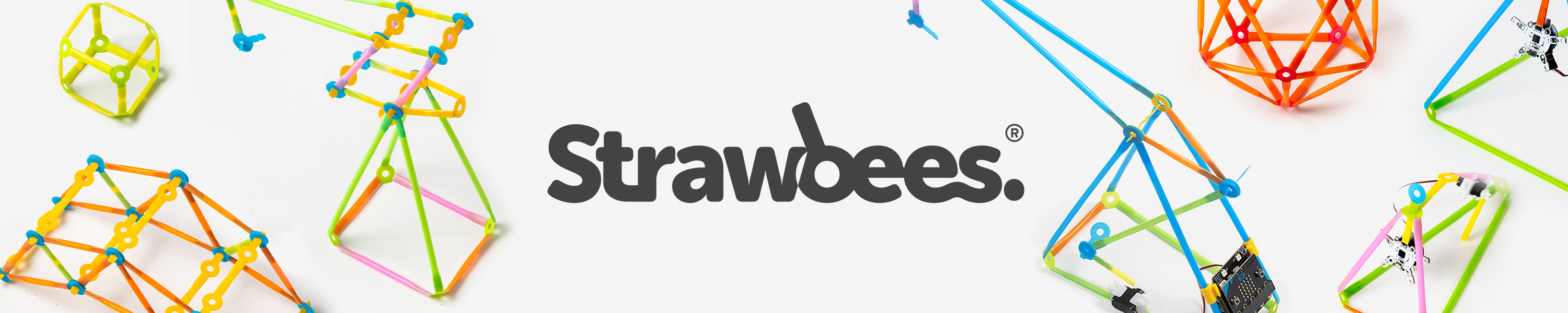 Amazon.com: Strawbees