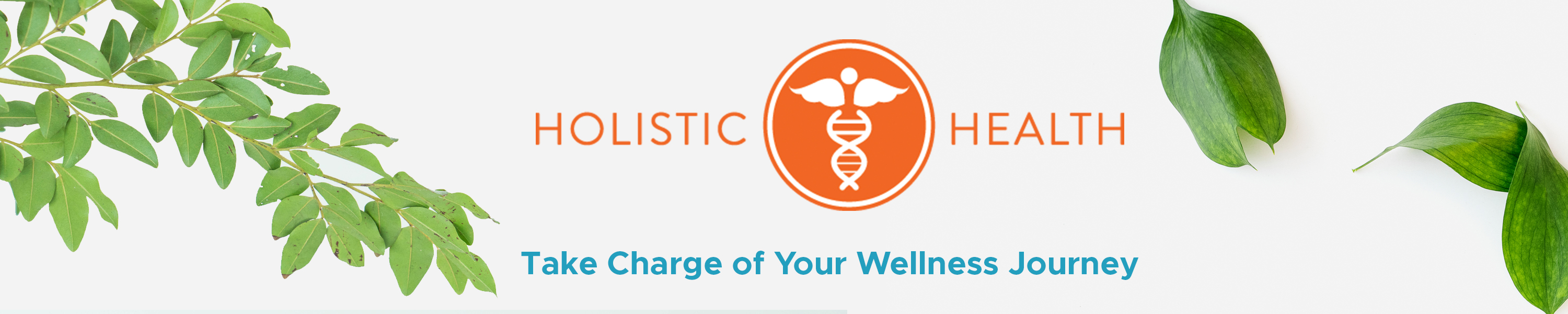 Amazon.com: Holistic Health