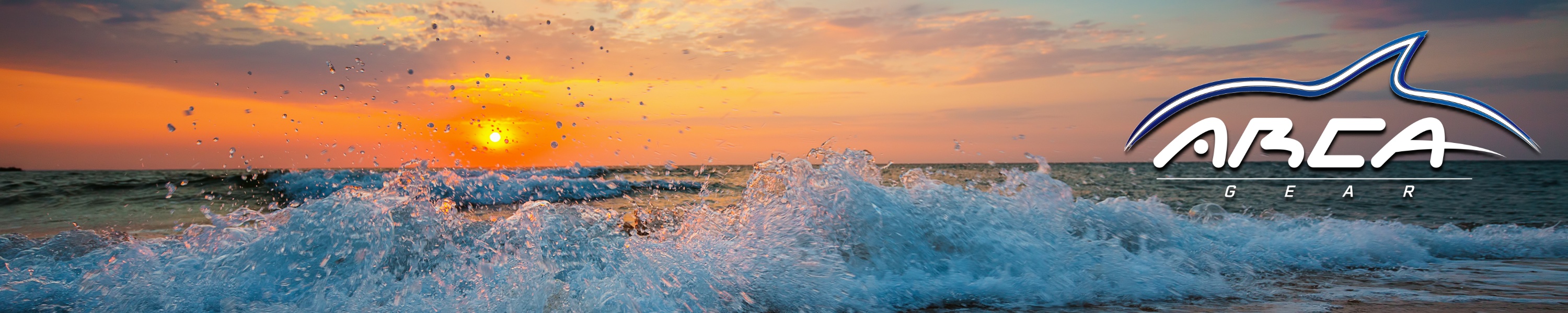 Amazon.com: Arca Gear