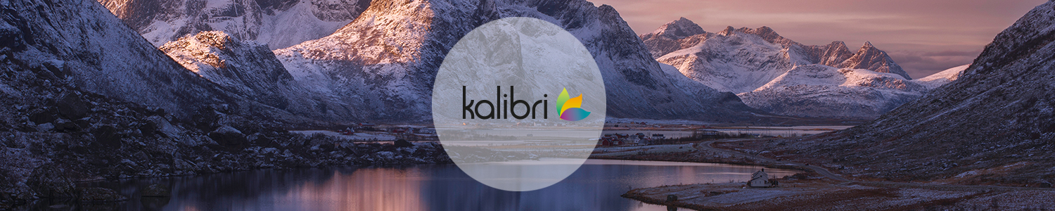 Amazon.ca: kalibri