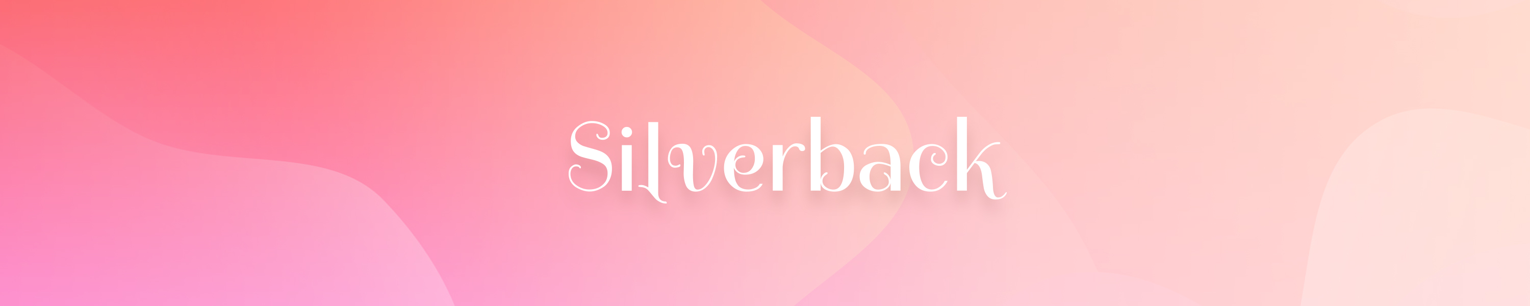 Amazon.ca: Silverback: Galaxy Note 20 Ultra