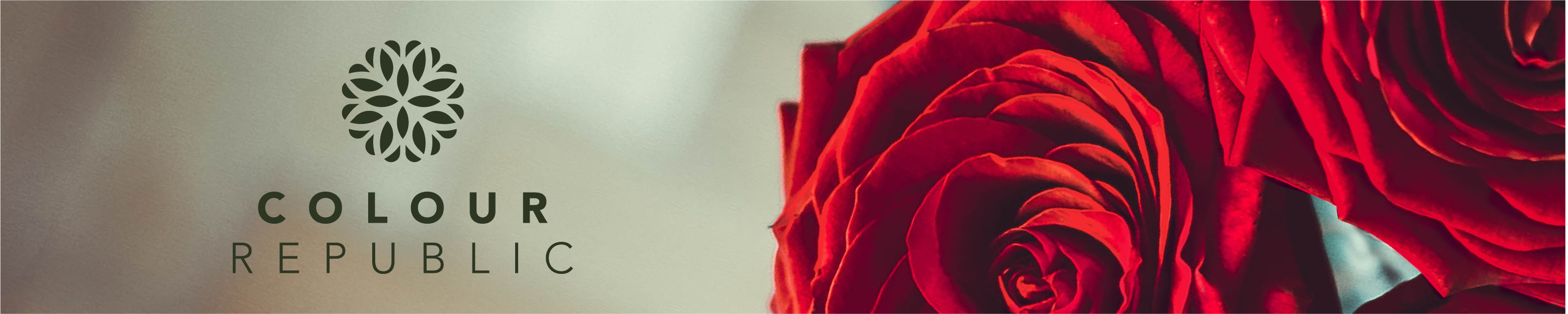 Amazon.com: Colour Republic: Colour Republic Roses