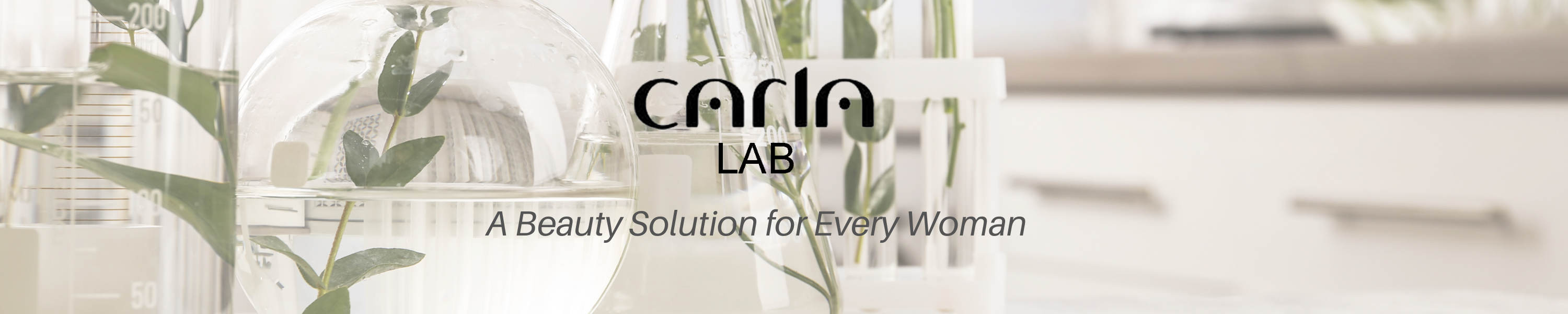 Amazon.com: CARLA LAB