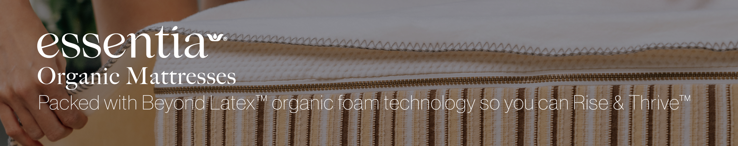 Amazon.com: Essentia Organic Mattress: Mattresses