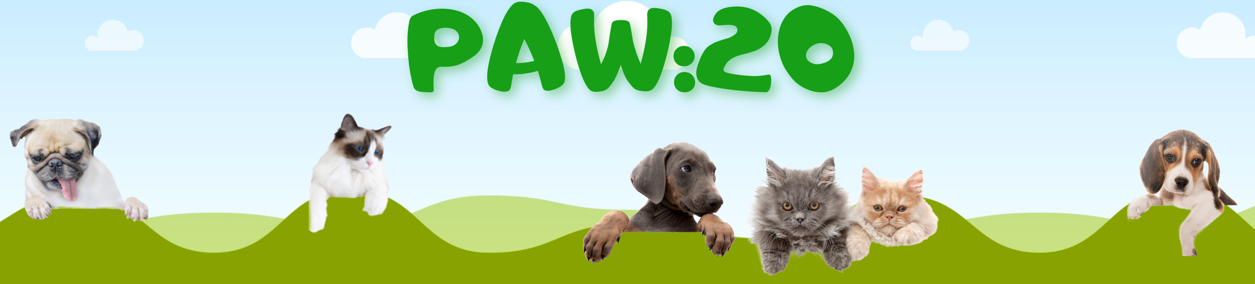Amazon.com: PAW:20