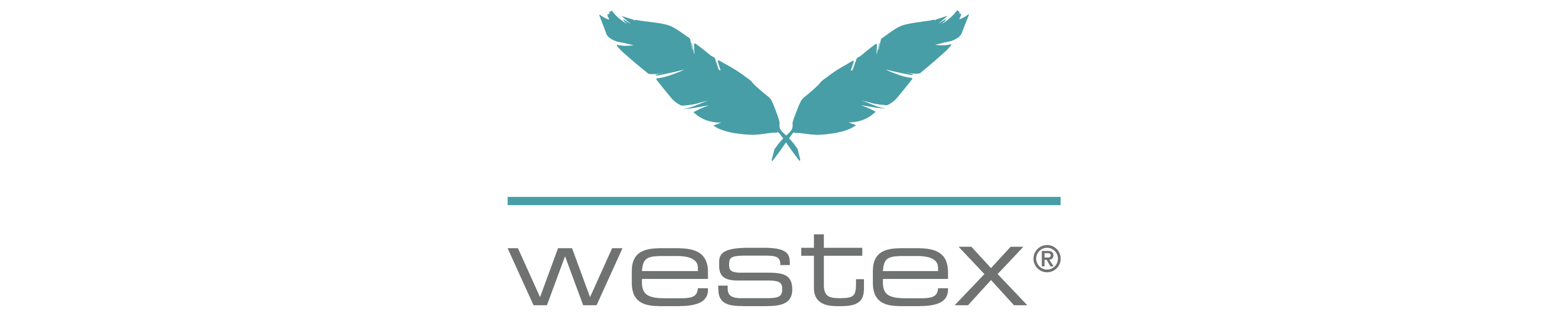 Amazon.com: Westex International: Bedding