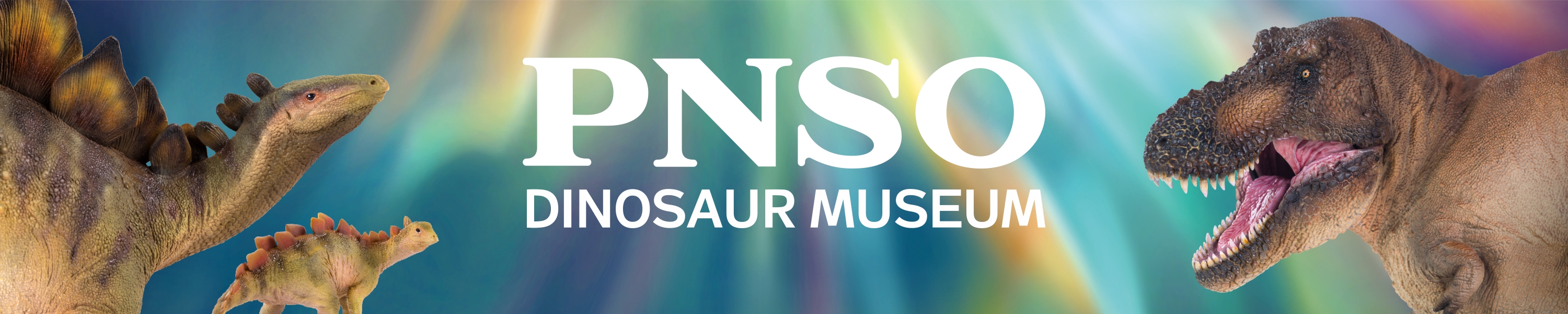 Amazon.com: PNSO: Dinosaur Museum